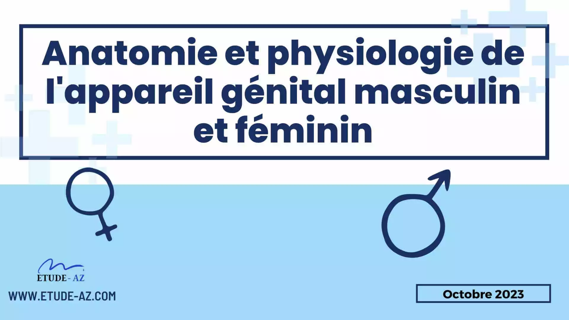 Anatomie Et Physiologie De L appareil G nital Masculin Et F minin Pdf Anatomie Et Physiologie De L appareil G nital Masculin Et F minin Pdf
